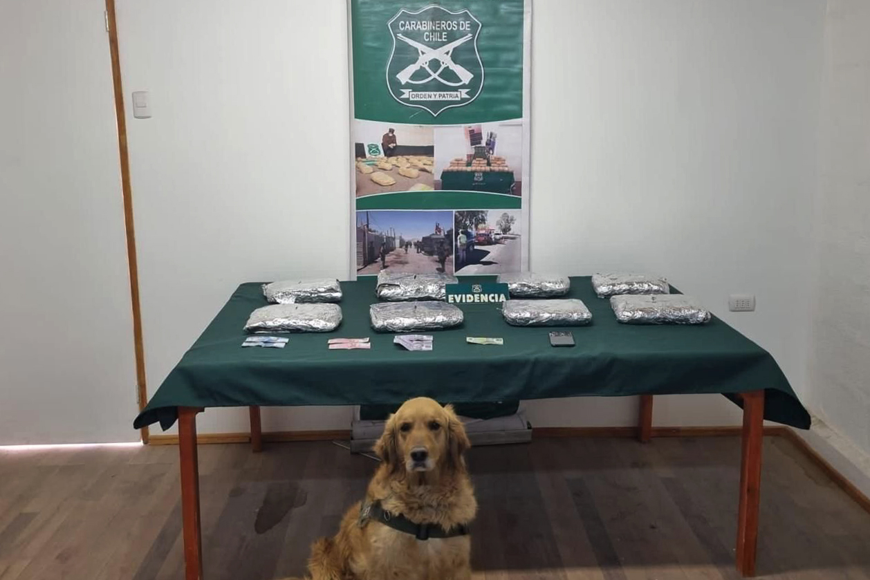 En Garita Carretera Detienen A Hombre Que Trasladaba Más De 9 Kilos De